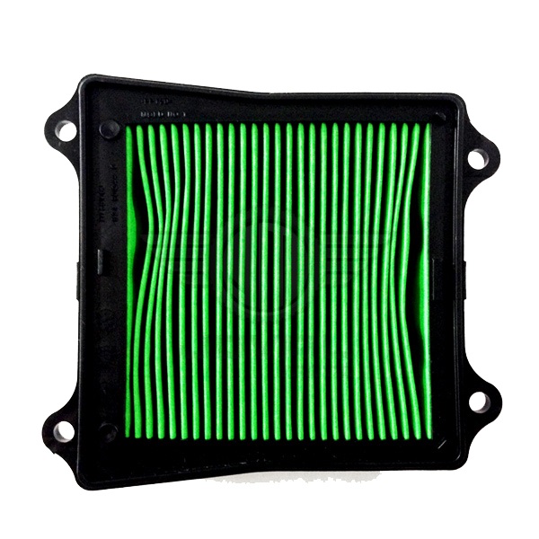 FILTRO DE AIRE P160NS P200RS&FI D400&UG DT581062 - Dye Import David & Emily